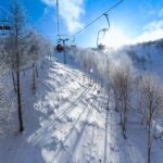 Changchun Private Arrival Transfer: Airport to Hotel - Who Should Book This Transfer?