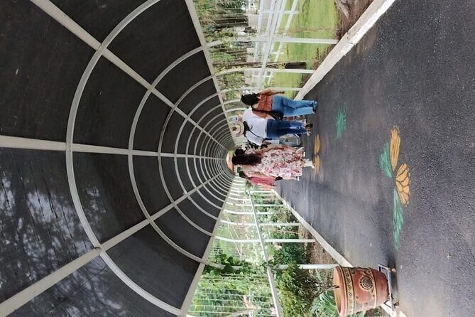 Chapaleanding- Chapaleando en Chapala Jalisco - Practical Details & Value