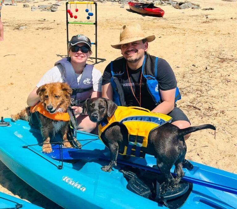 Chapel Hill: Jordan Lake Kayak Rental - Who Will Love This Experience?