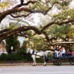 Charleston: Downtown Horse-Drawn Carriage Tour - What to Expect on the Tour