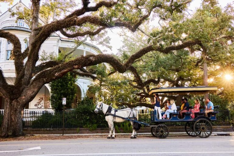 Charleston: Downtown Horse-Drawn Carriage Tour - What to Expect on the Tour