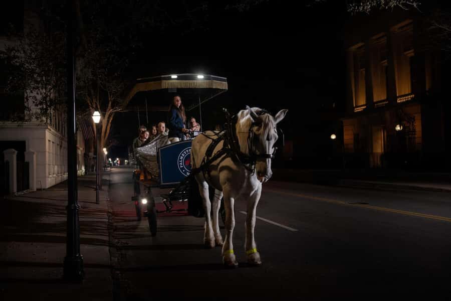 Charleston: Evening Ghost Carriage Tour - Who Will Love This Tour?