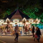 Charleston Festival of Lights with Small Group Transportation - The Itinerary: A Well-Structured Evening