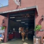 Charleston: Historic Residential Horse and Carriage Tour - The Itinerary and What to Expect
