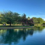 Charlotte: Guided Walking Tour - The Sum Up