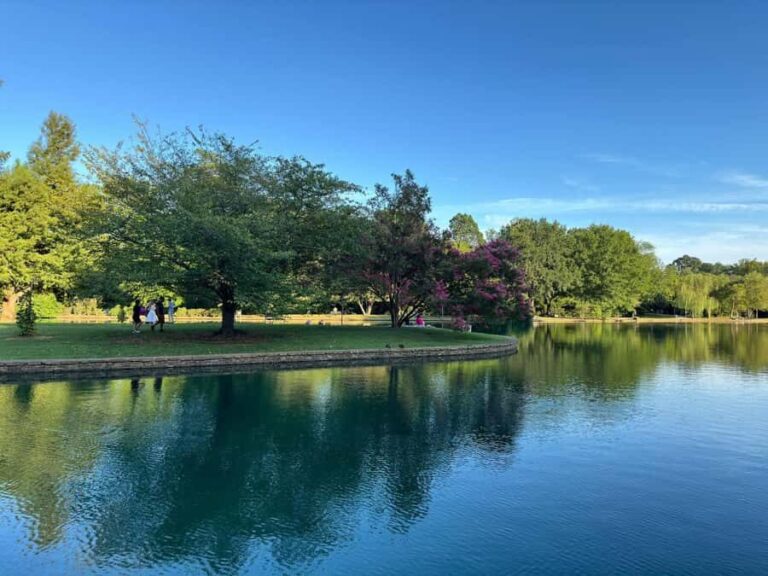 Charlotte: Guided Walking Tour - The Sum Up