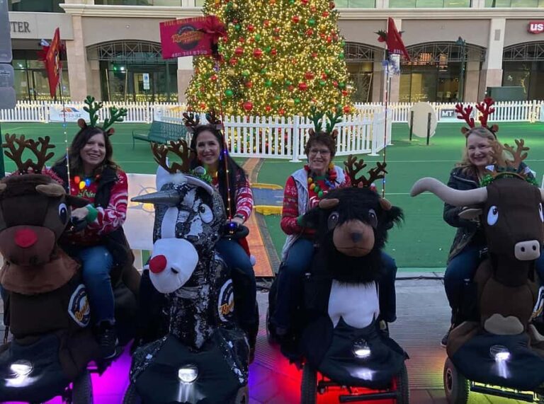 Charlotte: Holiday Lights Tour on a Rydable - The Value and Who It’s Best For