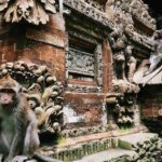 Charter Minivan Hi-Ace (14 seater) with Driver at Bali- 10 Hours Usage - A Closer Look at the Experience