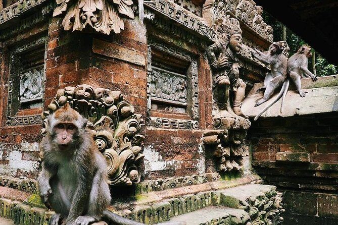 Charter Minivan Hi-Ace (14 seater) with Driver at Bali- 10 Hours Usage - A Closer Look at the Experience