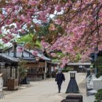 Chartered Private Tour - Tokyo to Nikko, Toshogu, Edo Wonderland - Practical Tips & Considerations