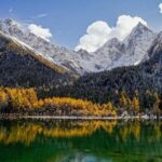 Chengdu: Bipenggou Scenic Area Day Trip with Guide - Why Travelers Say It Works Well