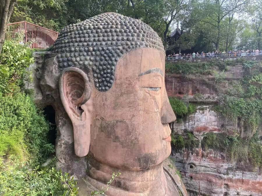 Chengdu: Chengdu Day Trip with Giant Panda and Leshan Buddha - Practical Details and What It Means for You