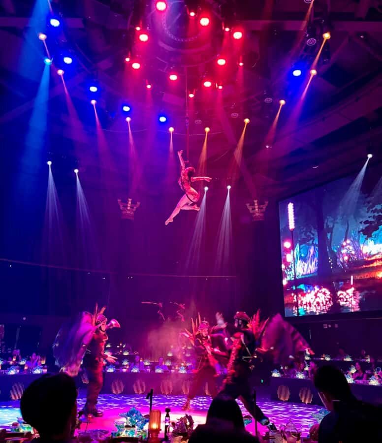 Chengdu Hongdingyan | Immersive Royal Banquet Show - Final Thoughts