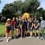 Chengdu: Panda Base Half-day Tour or Panda & Buddha Day Tour - Who Will Love This Tour?