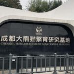 Chengdu: Panda Breeding Base Private Guided Tour - The Practical Side: Logistics, Price, and Value