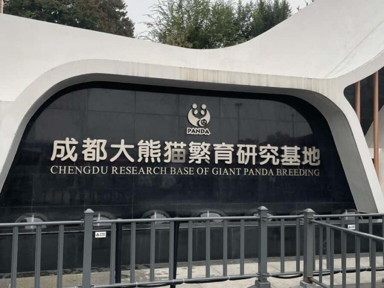 Chengdu: Panda Breeding Base Private Guided Tour - The Practical Side: Logistics, Price, and Value