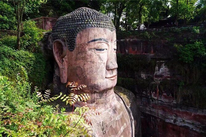 Chengdu Panda Park Bus Tour with Option Leshan Giant Buddha - Authentic Experience Without the Hassle