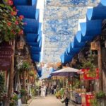 Chengdu Private Tour: Anren Town, Culture & DIY Fan Workshop - Practical Details and Value