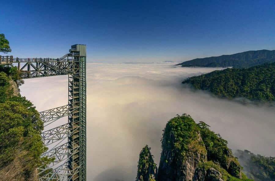 ChenZhou: Mangshan National Forest Park Day Trip - Who Will Love This Trip?