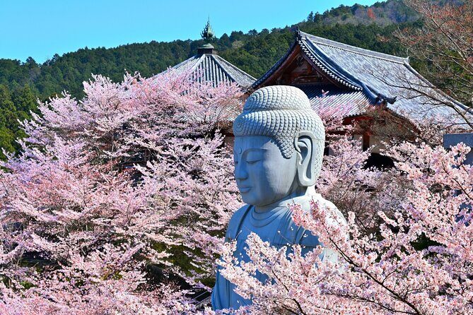 Cherry Blossom Buddha and Mt.Yoshino with Strawberry Picking Tour - Food and Cultural Highlights