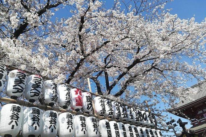 Cherry Blossom highlights, Asakusa, Ueno, Imperial Palace Garden - What Sets This Tour Apart
