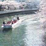 Cherry Blossom Sightseeing River Boat Experience - The Sum Up