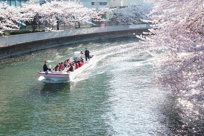 Cherry Blossom Sightseeing River Boat Experience - The Sum Up