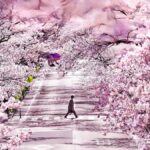 Cherry Blossom Tunnel & Sea: A Spring Day Tour of Ibaraki - Authentic and Practical Insights