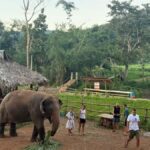 Chiang Mai 2-Day: Good Morning Elephant & Overnight Homestay - The Itinerary in Detail