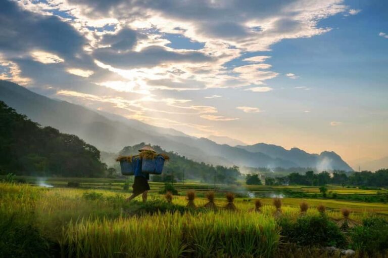 Chiang Mai: 2-Day Hidden Jungle Trek & Local Hill-Tribe Stay - Authentic Experiences and Cultural Respect