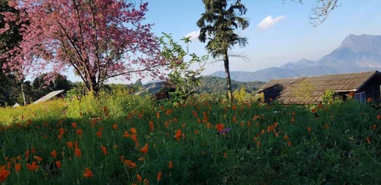 Chiang Mai: 3-Day Chiang Dao Mountains & Local Villages Tour - Practical Details and Travel Tips