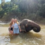 Chiang Mai: 3-Day Elephant Care, Jungle Trek, Bamboo Rafting - The Experience: What Travelers Can Expect