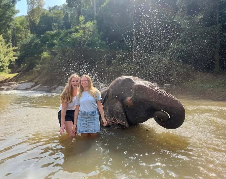 Chiang Mai: 3-Day Elephant Care, Jungle Trek, Bamboo Rafting - The Experience: What Travelers Can Expect