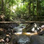 Chiang Mai: Chiang Dao Caves and Jungle Trek with Lunch - Practical Tips and Considerations