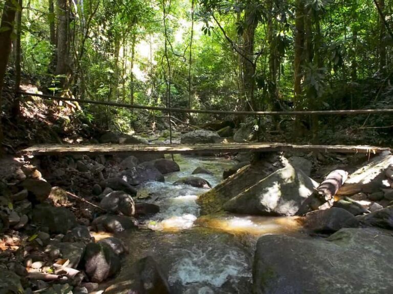 Chiang Mai: Chiang Dao Caves and Jungle Trek with Lunch - Practical Tips and Considerations