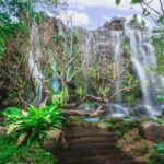 Chiang Mai: Dan Tewada Land, Bamboo Rafting & Waterfall Tour - The Itinerary in Detail