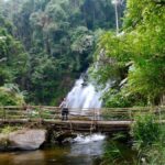 Chiang Mai: Doi Inthanon Hike, Coffee, and Tree Planting - Practical Details and Value