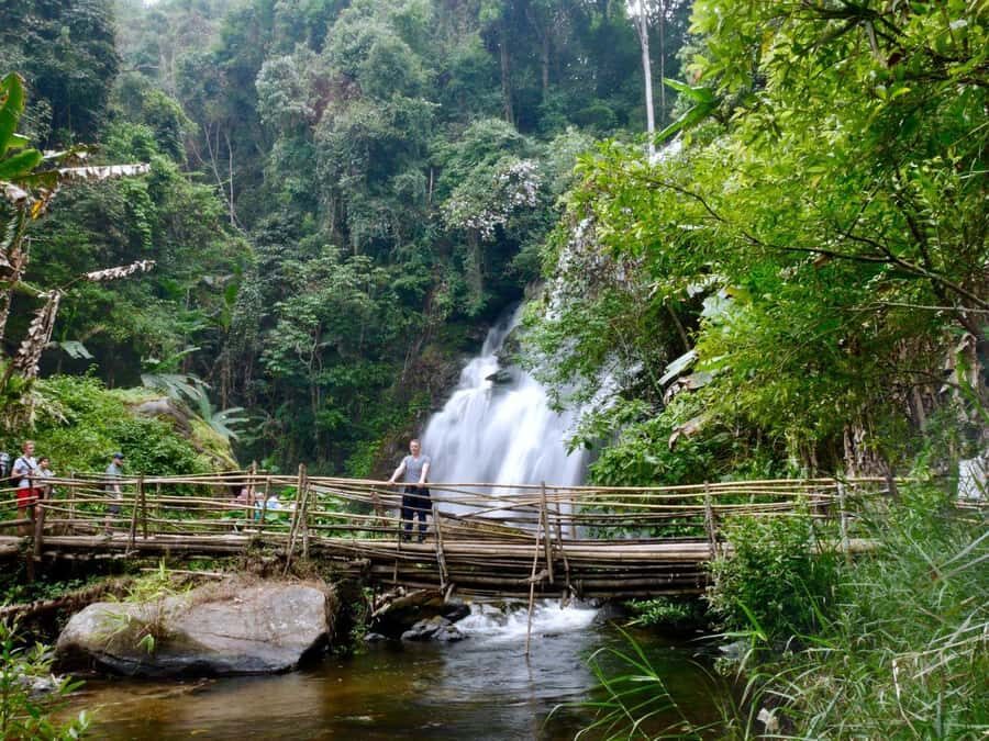 Chiang Mai: Doi Inthanon Hike, Coffee, and Tree Planting - Practical Details and Value