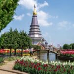 Chiang Mai: Doi Inthanon National Park with Ticket & Lunch - Practical Details: How the Tour Works