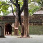 Chiang Mai: Doi Suthep 3 temples & Nature Café Guided Tour - Practical Considerations