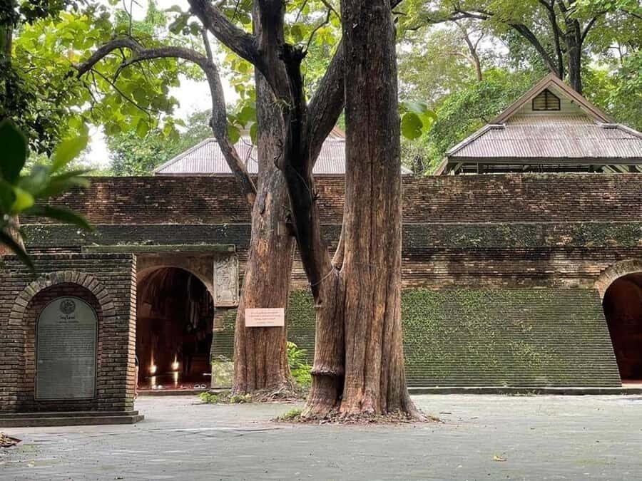 Chiang Mai: Doi Suthep 3 temples & Nature Café Guided Tour - Practical Considerations