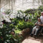 Chiang Mai: Doi Suthep & Botanical Park, Wheelchair Friendly - Is This Tour Worth It?