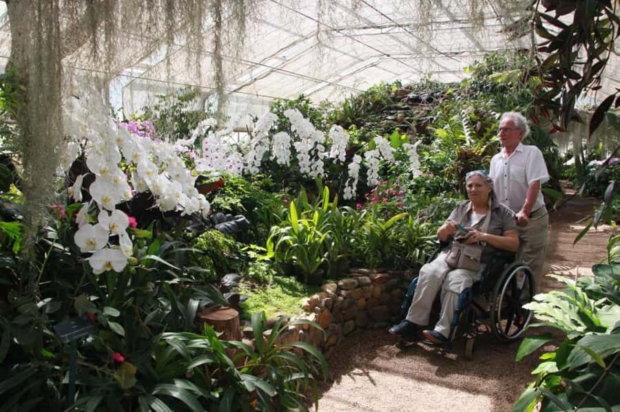 Chiang Mai: Doi Suthep & Botanical Park, Wheelchair Friendly - Is This Tour Worth It?