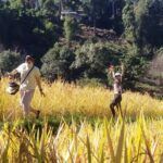 Chiang Mai Eco Trek Biggest Waterfall The Peak Of Thailand 1 Day - Practical Details That Matter