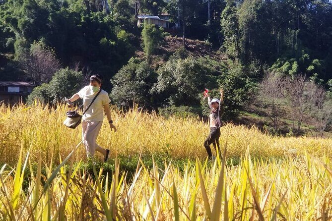 Chiang Mai Eco Trek Biggest Waterfall The Peak Of Thailand 1 Day - Practical Details That Matter