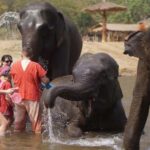 Chiang Mai: Elephant care & Long Neck &Sticky Waterfall Tour - Visiting the Karen Long Neck Tribe