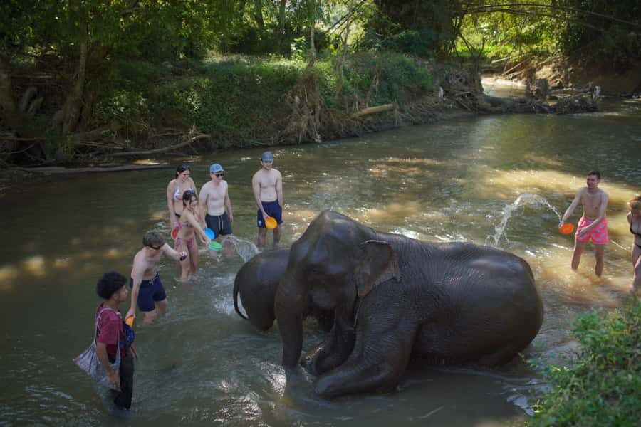 Chiang Mai: Elephant Care Mae Win&15 Ziplines-Tribe-Coffee - The Detailed Itinerary: What to Expect