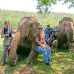 Chiang Mai Elephant Sanctuary and Sticky Waterfall Day Tour - The Itinerary in Detail: What to Expect