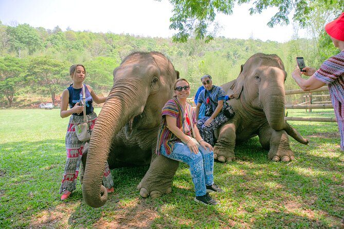 Chiang Mai Elephant Sanctuary and Sticky Waterfall Day Tour - The Itinerary in Detail: What to Expect