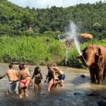 Chiang Mai: Elephant Sanctuary & Pha Chor Canyon - Is This Tour Worth It?